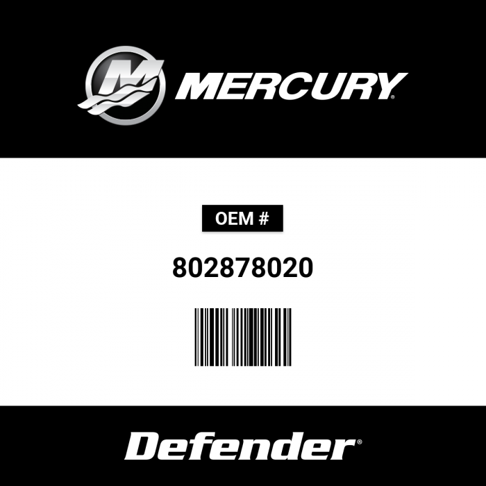 Mercury Paint V Silver - 802878020 | Defender Marine